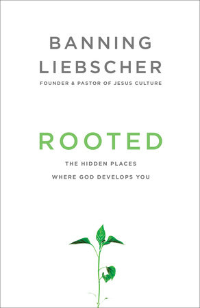 Rooted, Banning Liebscher (book review) – Questions That Matter