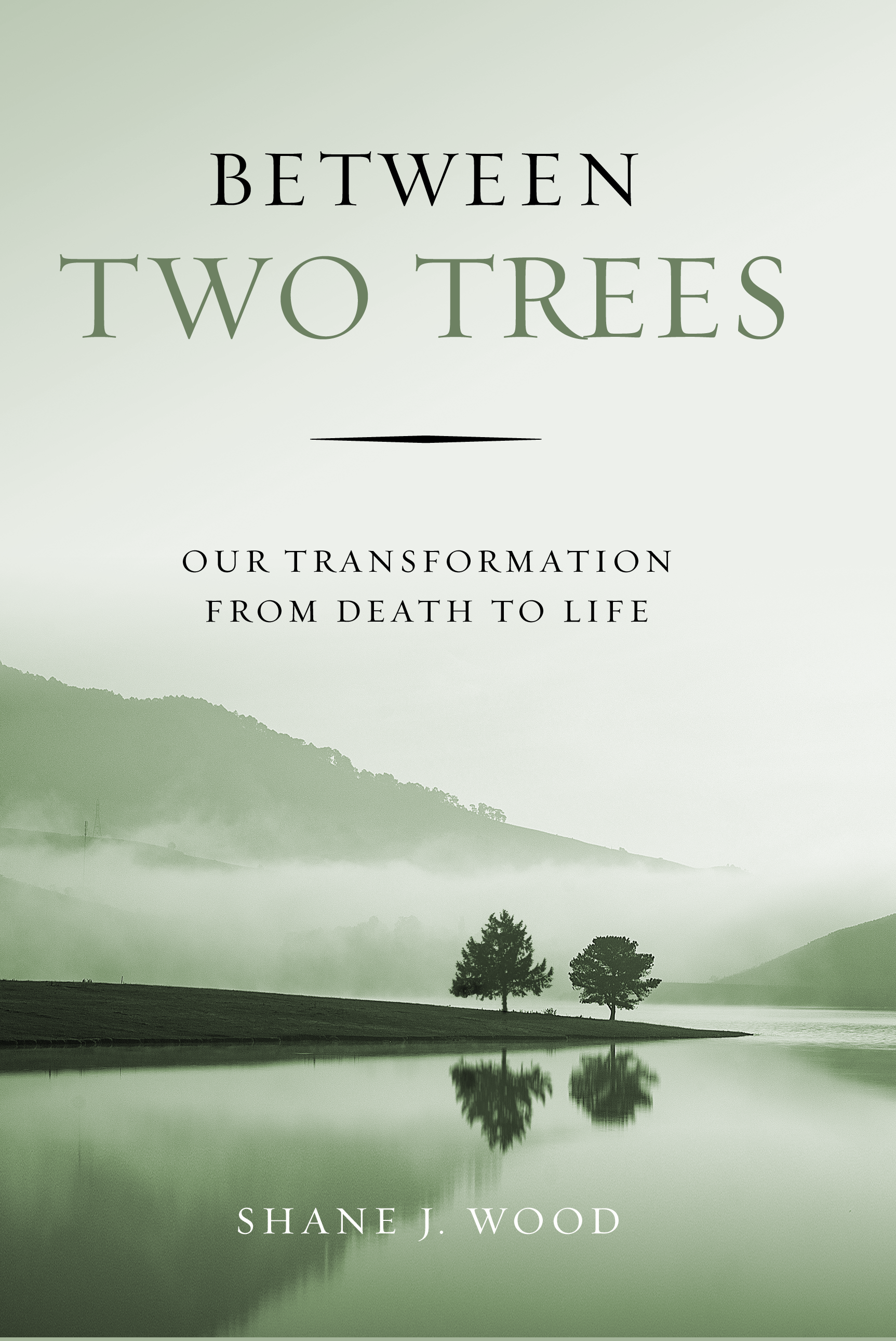 Are We Wrong About Sin? Death? My Thoughts on “Between Two Trees ...